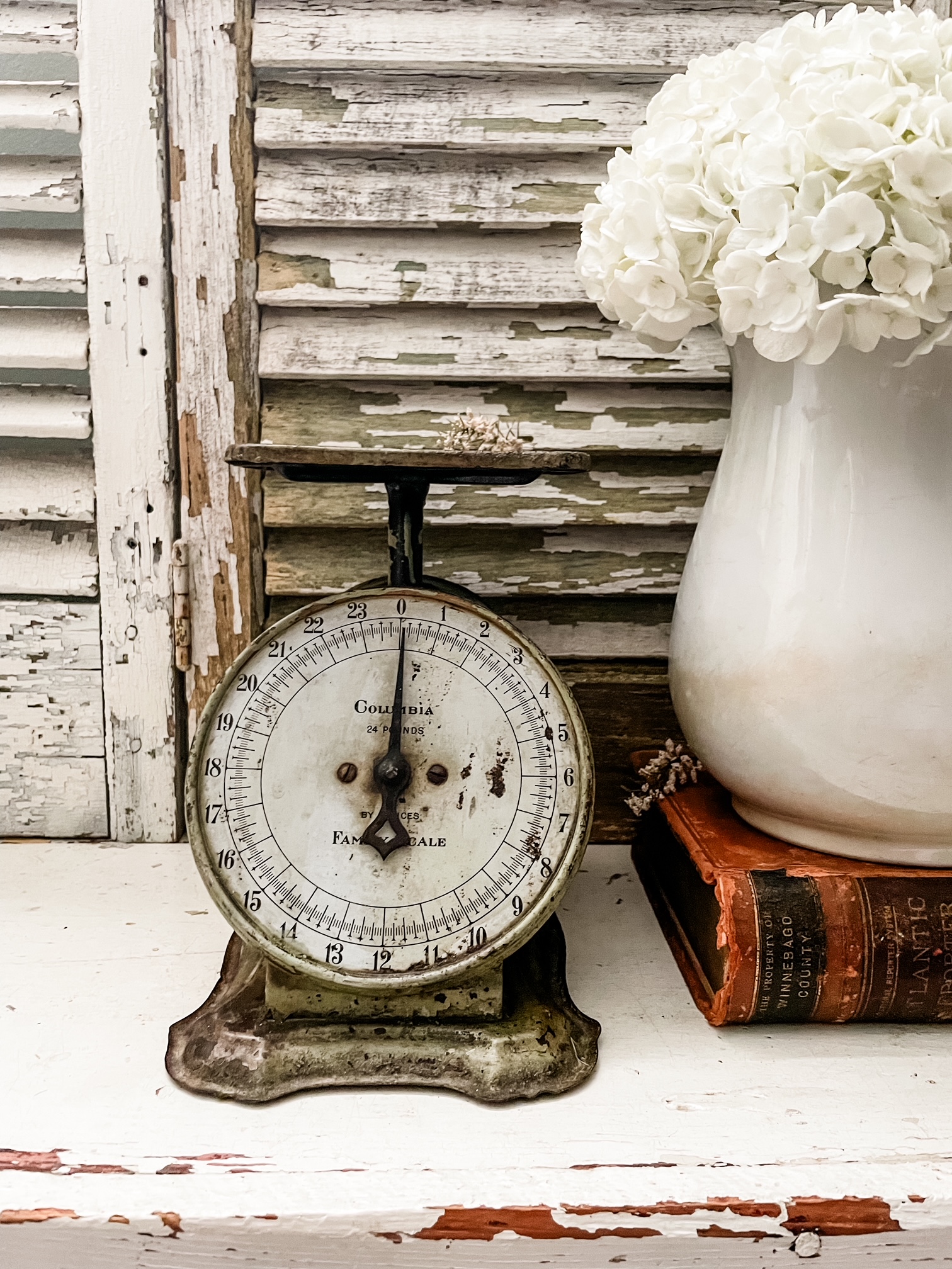 Blackdog Creations - Vintage Chippy Light Green 24lb Columbia Family Scale