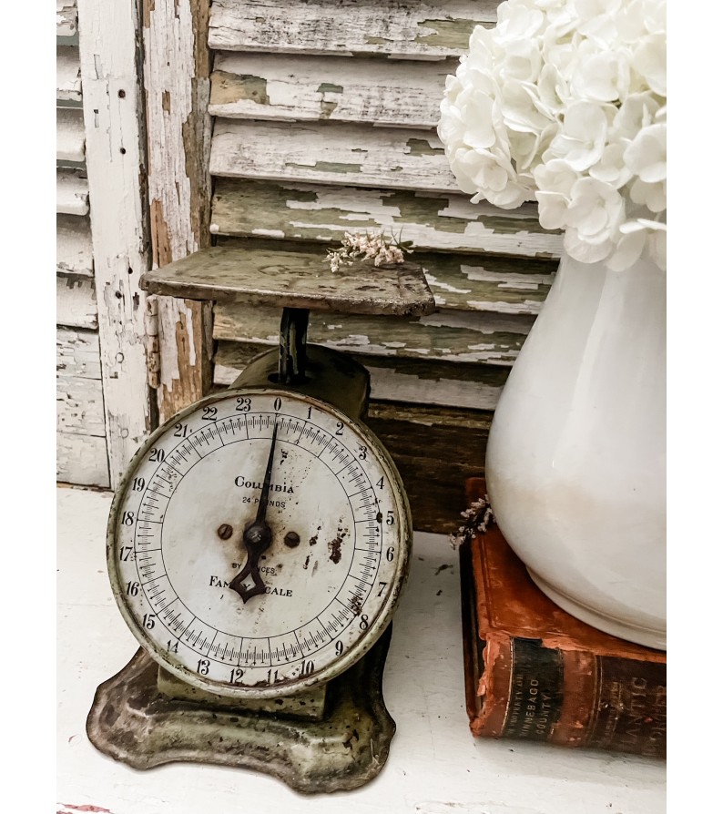 Blackdog Creations - Vintage Chippy Light Green 24lb Columbia Family Scale